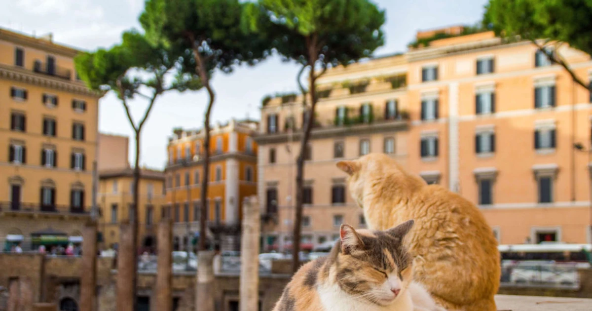 The Untold Story Of The Place Where Julius Caesar Was Killed Which Is ...