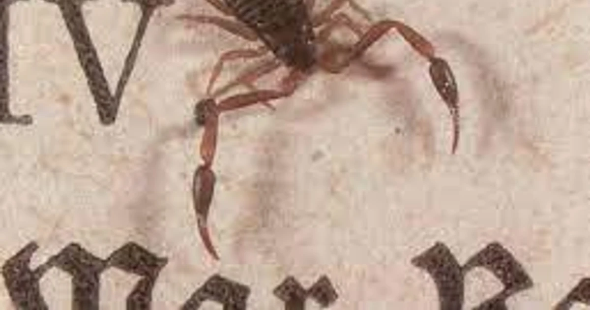 How Book Scorpions Protect Our Beloved Books From Dust Mites And Book Lice