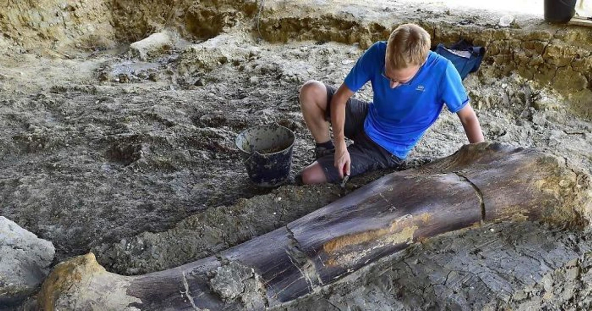 140 Million-Year-Old, 500 Kg Dinosaur Femur Discovered In France