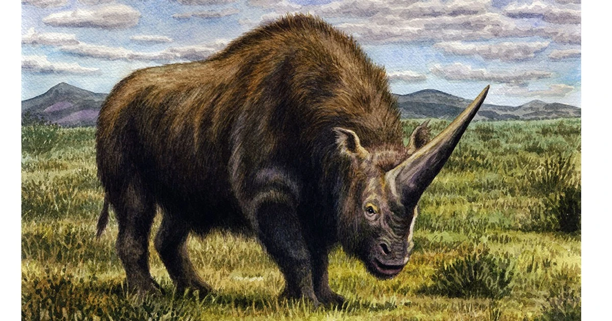 Prehistoric Elasmotherium Aka Siberian Unicorn Has Been Extinct 3900 ...