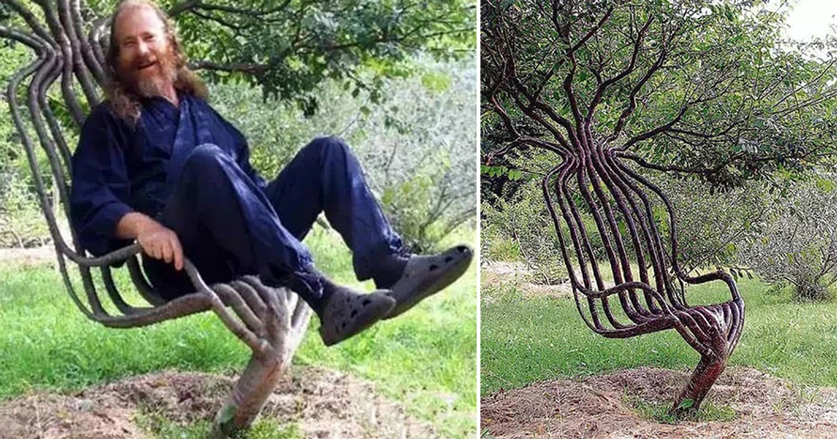 This Australian Artist Peter Cook Uses Pooktree Method To Create Chairs ...