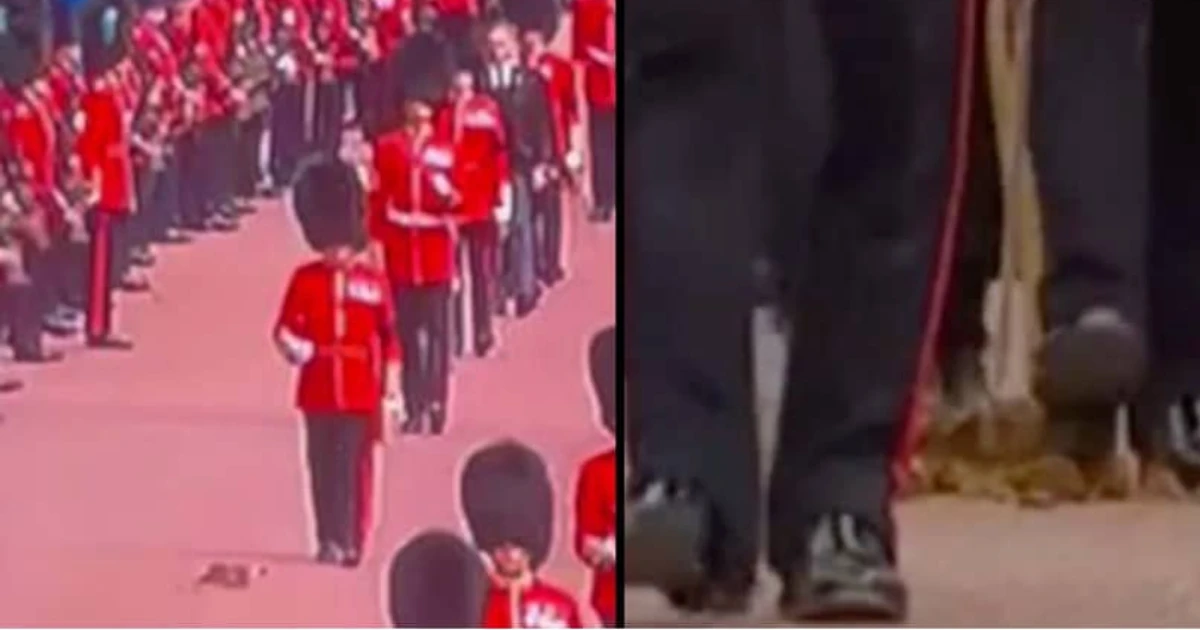 Royal Guards Forced To Walk Through Horse Poop During Queen's Funeral