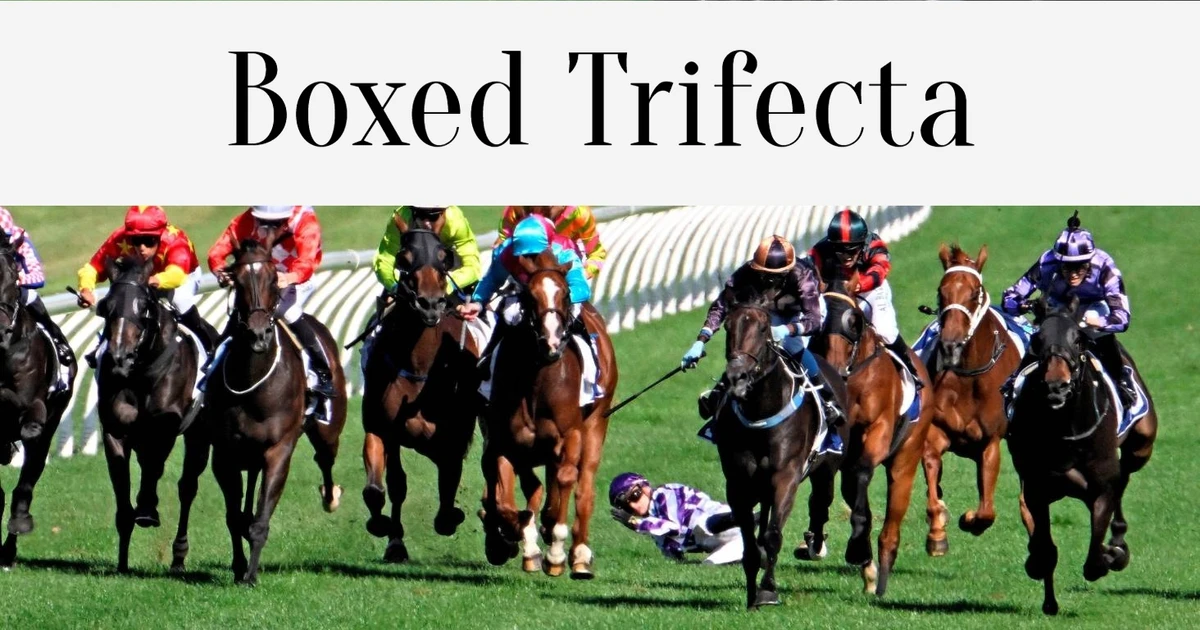 Boxed Trifecta - A Type Of Trifecta Bet In Horse Racing