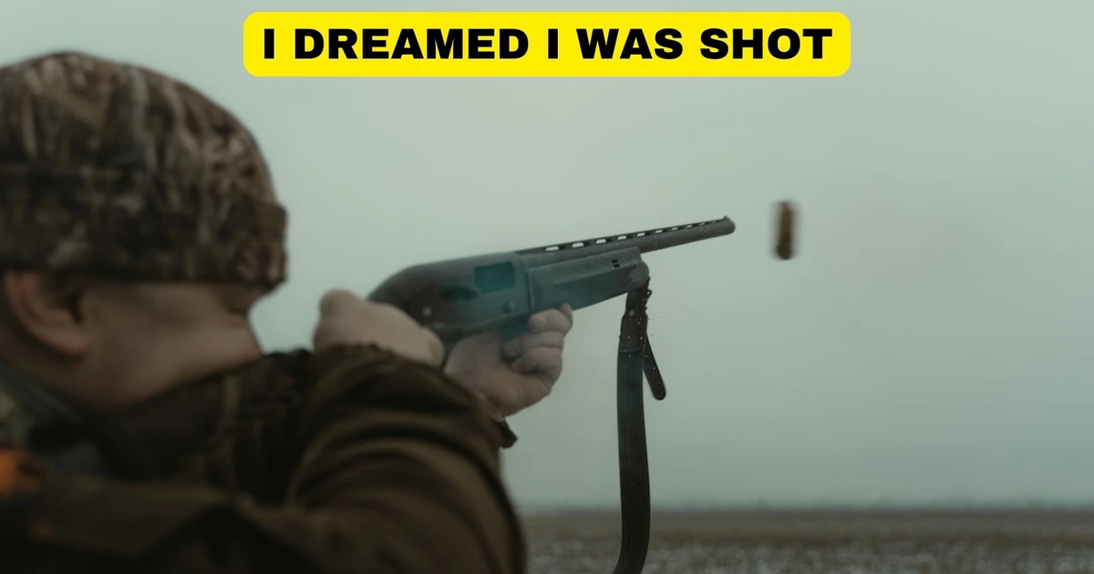 I Dreamed I Was Shot - Meaning And Symbolism