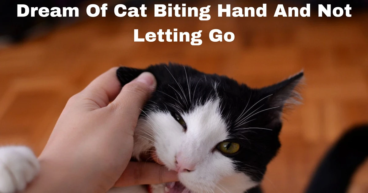 Dream Of Cat Biting Hand And Not Letting Go - It Signals Your ...