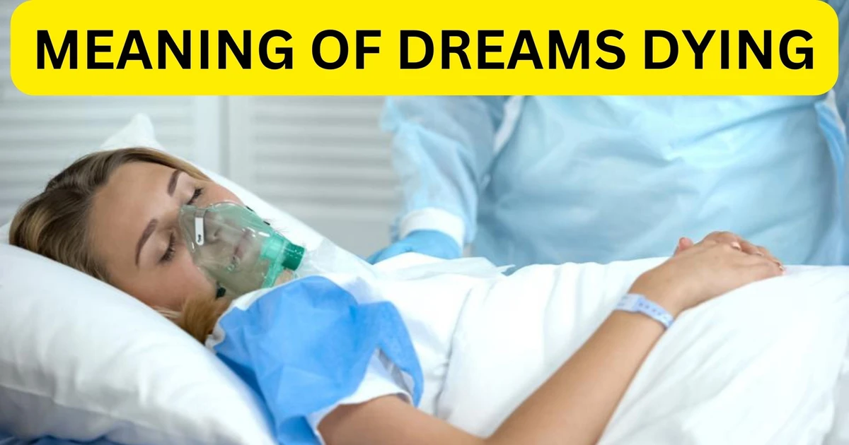 Meaning Of Dreams Dying - Signifies A Major Transition In Life