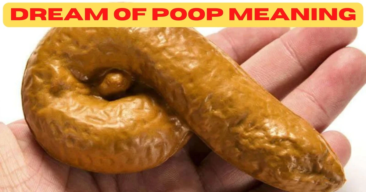 Dream Of Poop Meaning - A Sign Of Good Luck And Prosperity