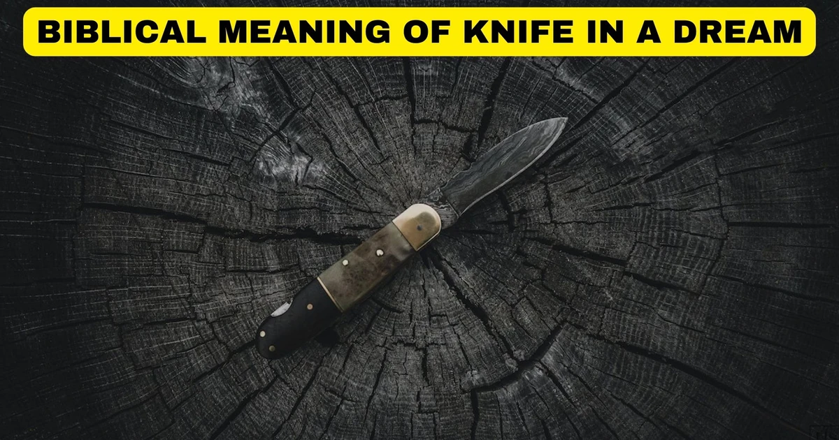 Biblical Meaning Of Knife In A Dream - It Symbolizes Emotional Conflict ...
