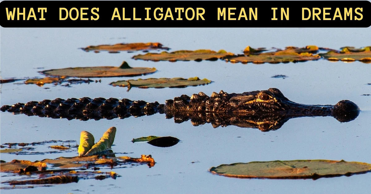 What Does Alligator Mean In Dreams?