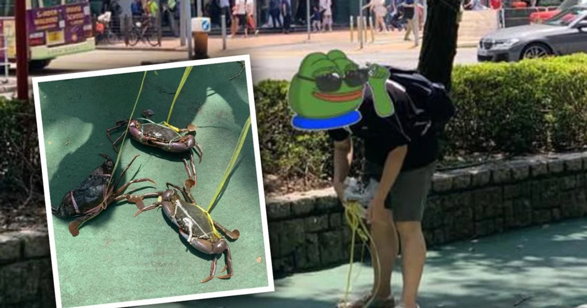Hong Kong Man Takes Pet Crabs For Walk And Amuses Social Media Users With Hilarious Pictures