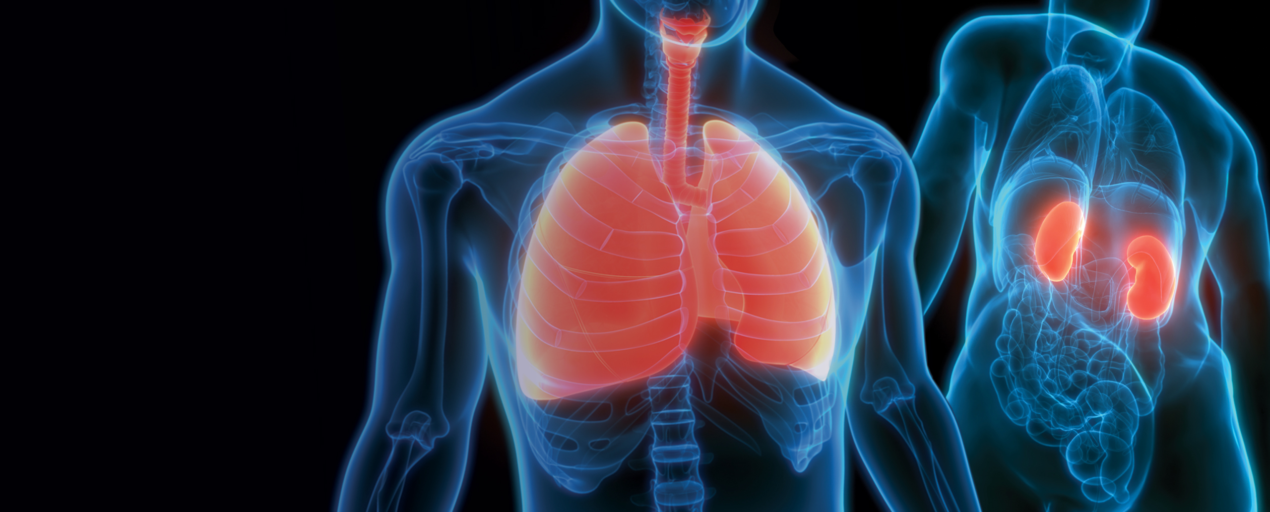 Angion Method - A Comprehensive Approach To Improving Cardiovascular Health