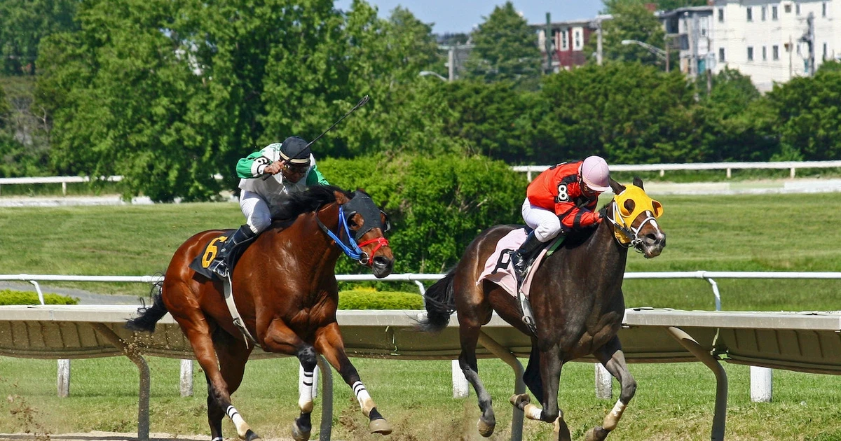 Best Horse Racing Tracks Around The World