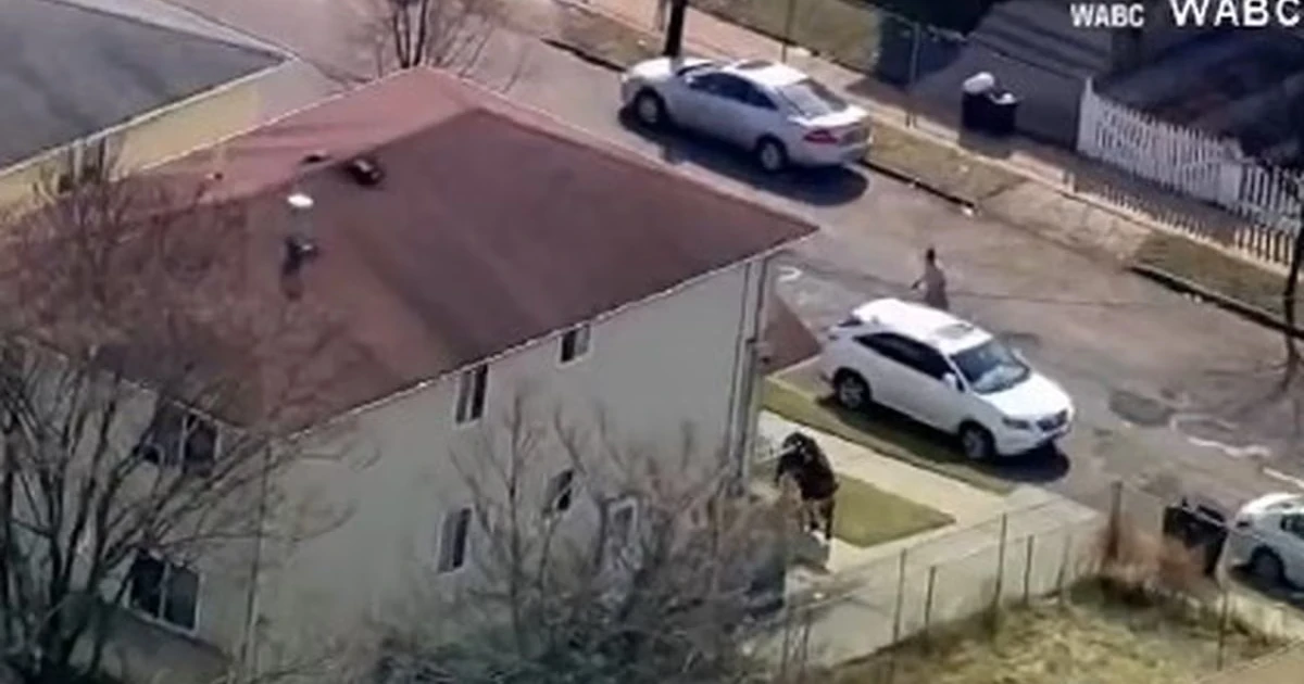 Cow Leads Police On A Wild Chase Through City Streets