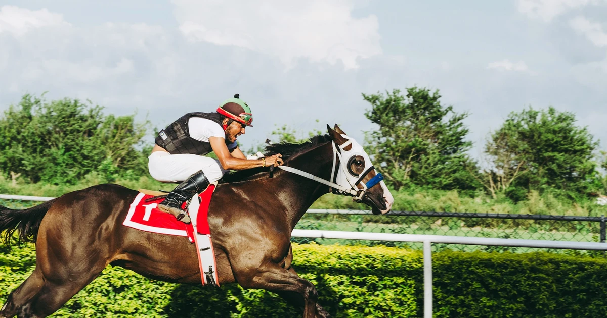 What Is A Boxed Trifecta? A Flexible Horse Racing Wager