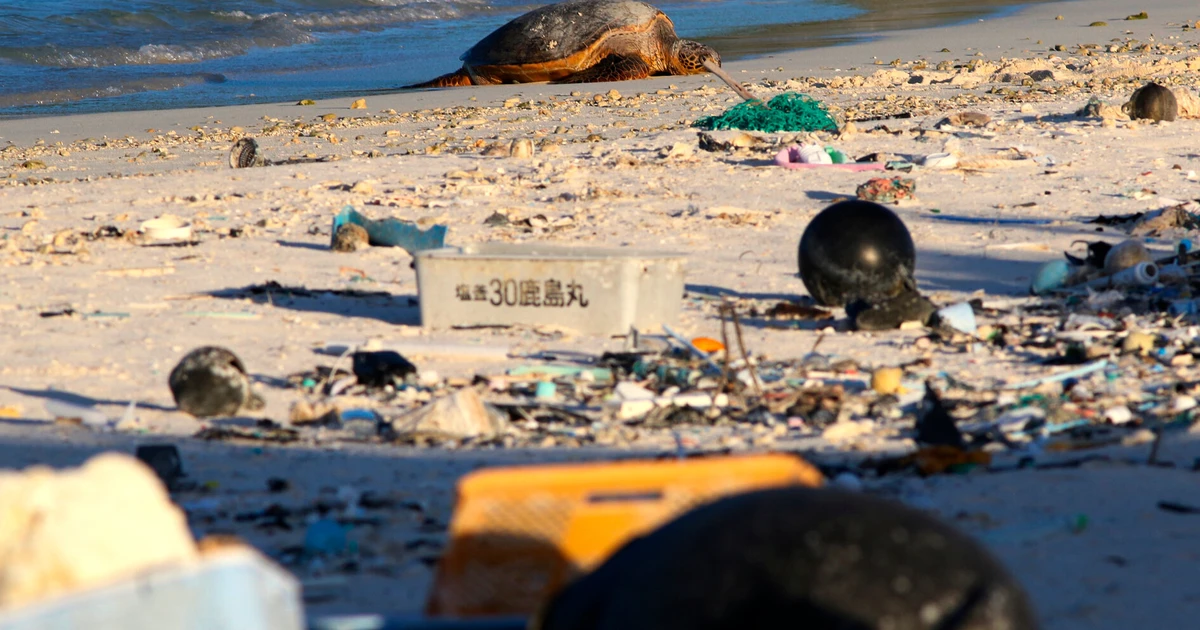 Documentaries About The Environment - Inspiring Action And Raising ...