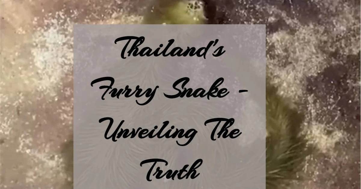 Thailand's Furry Snake - Unveiling The Truth