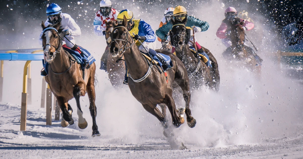 Trifecta Bets - A Thrilling Wagering Option In Horse Racing