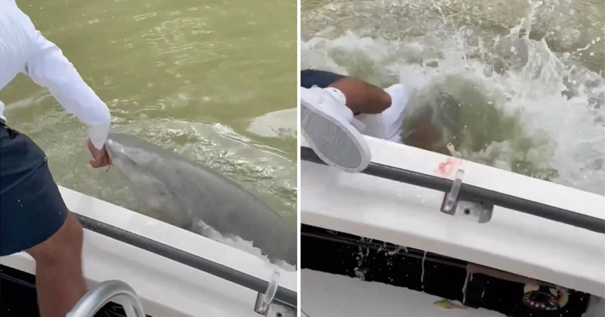 Fisherman Attacked By Shark And Dragged Into Water In Terrifying Incident