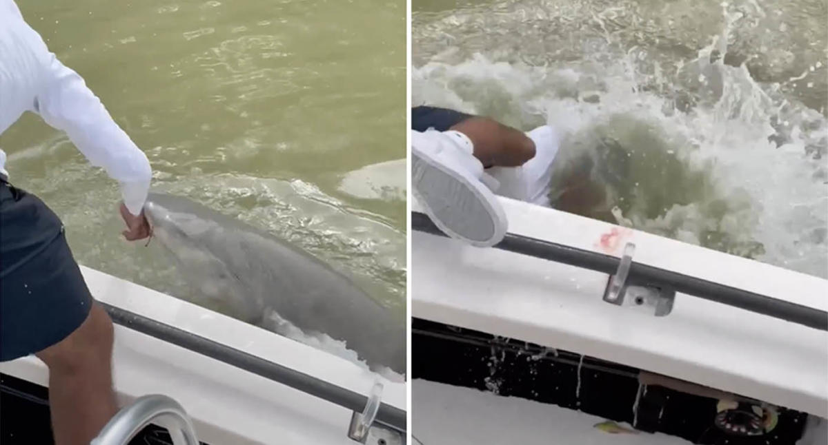 Fisherman Attacked By Shark And Dragged Into Water In Terrifying Incident