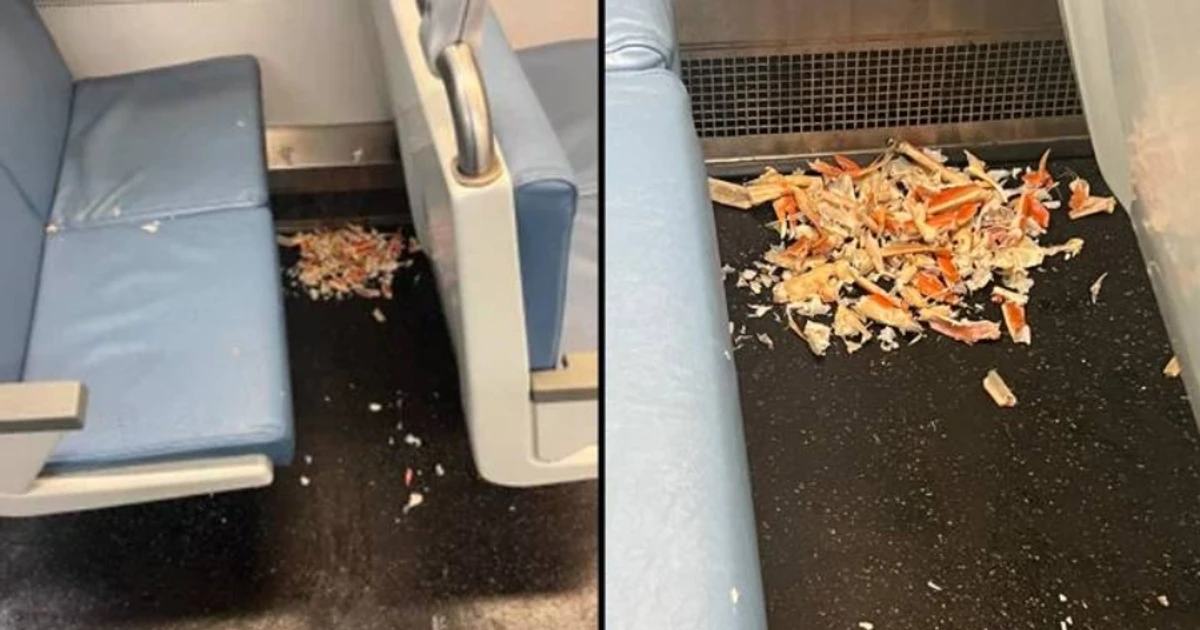 People Are Disgusted After Passenger Eats Crab Legs On A Train And Then ...