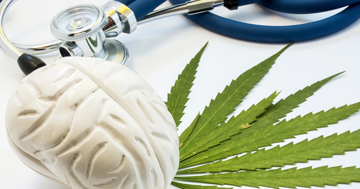 Positive And Negative Effect Of Cannabinoids On The Brain