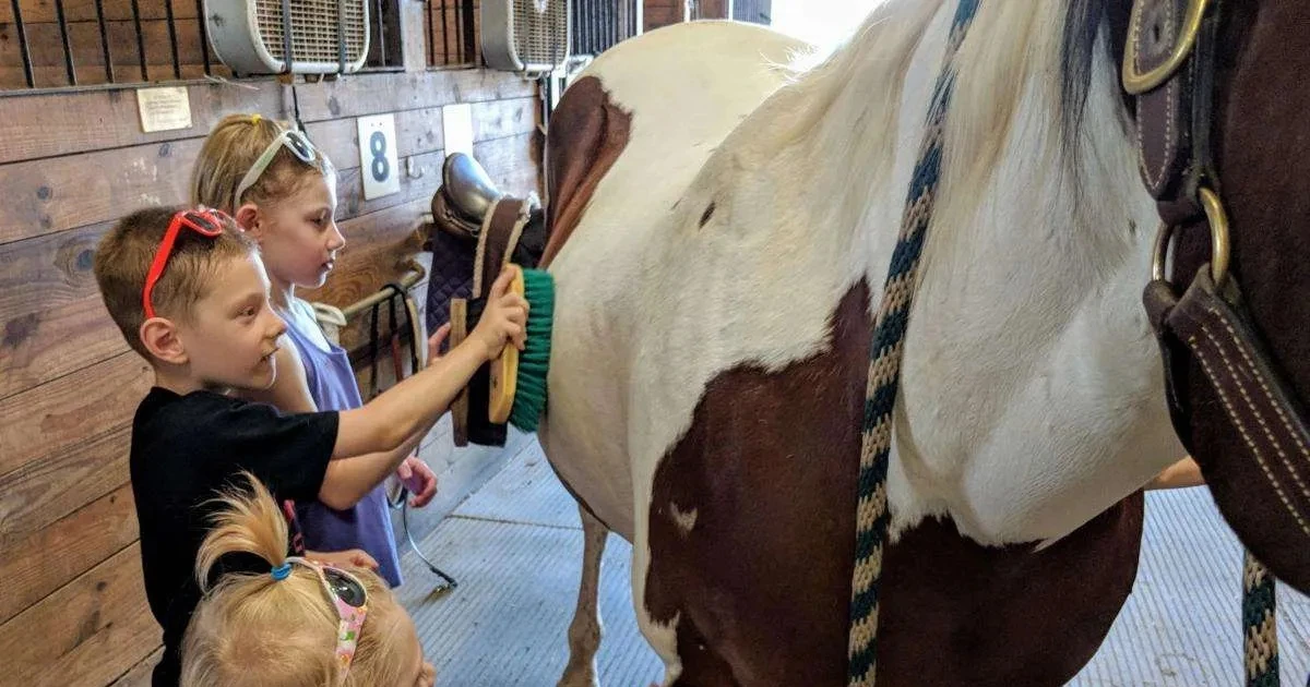 A Fun Way To Teach Students About Grooming
