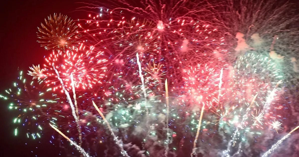 Bonfire Night Warning Issued As Horse Gets Terrified From Fireworks And ...