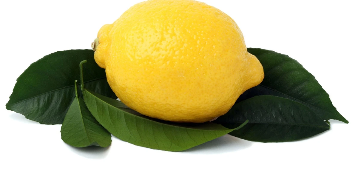 Discover The Benefits Of Lemon Leaves