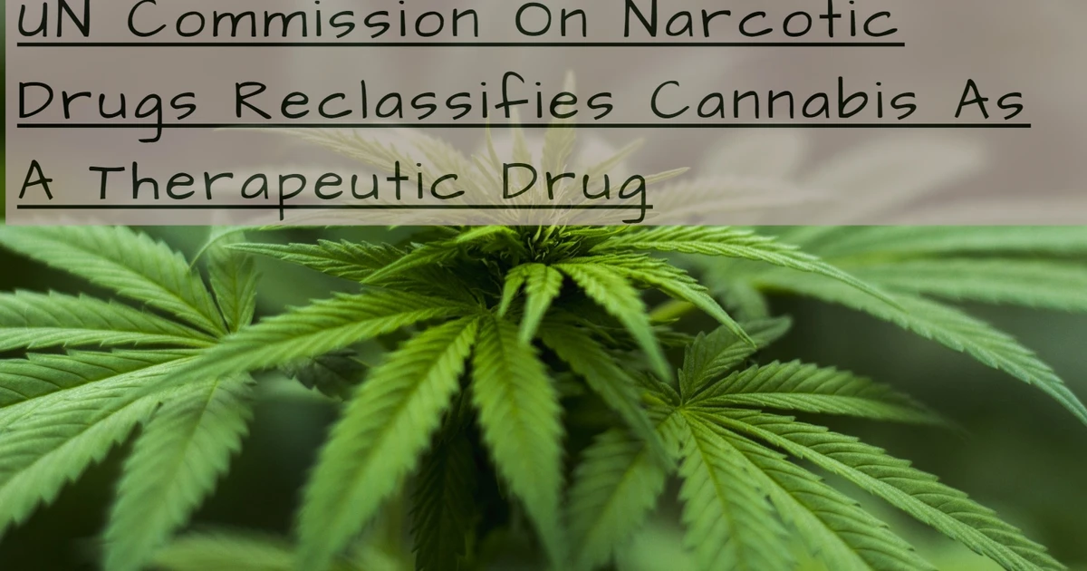 UN Commission On Narcotic Drugs Reclassified Cannabis As A Therapeutic Drug