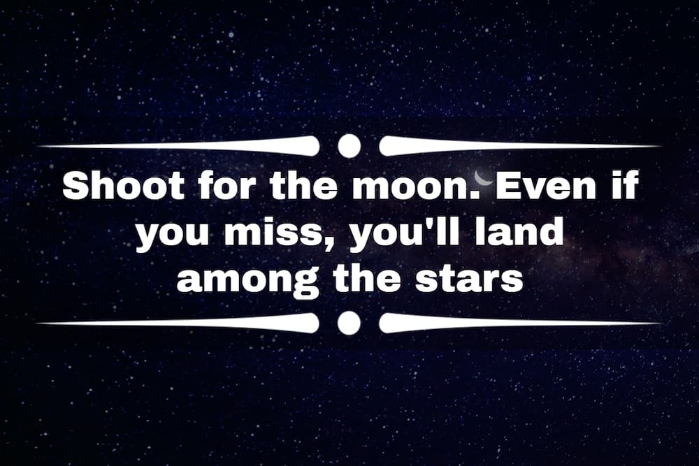 Stupid Quotes That Make No Sense - A Collection Of Nonsensical Absurdity